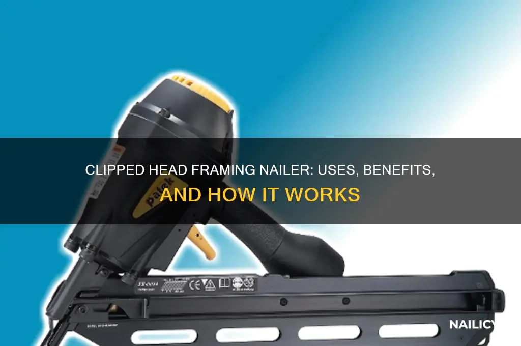 Clipped Head Framing Nailer: Uses, Benefits, And How It Works | Nailicy