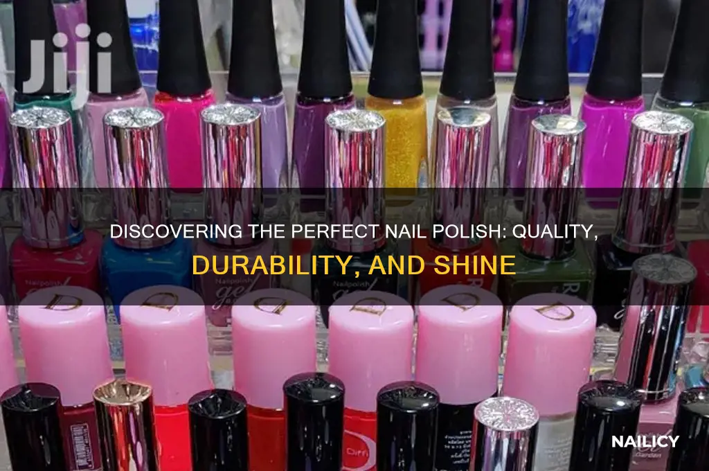 Discovering The Perfect Nail Polish: Quality, Durability, And Shine ...