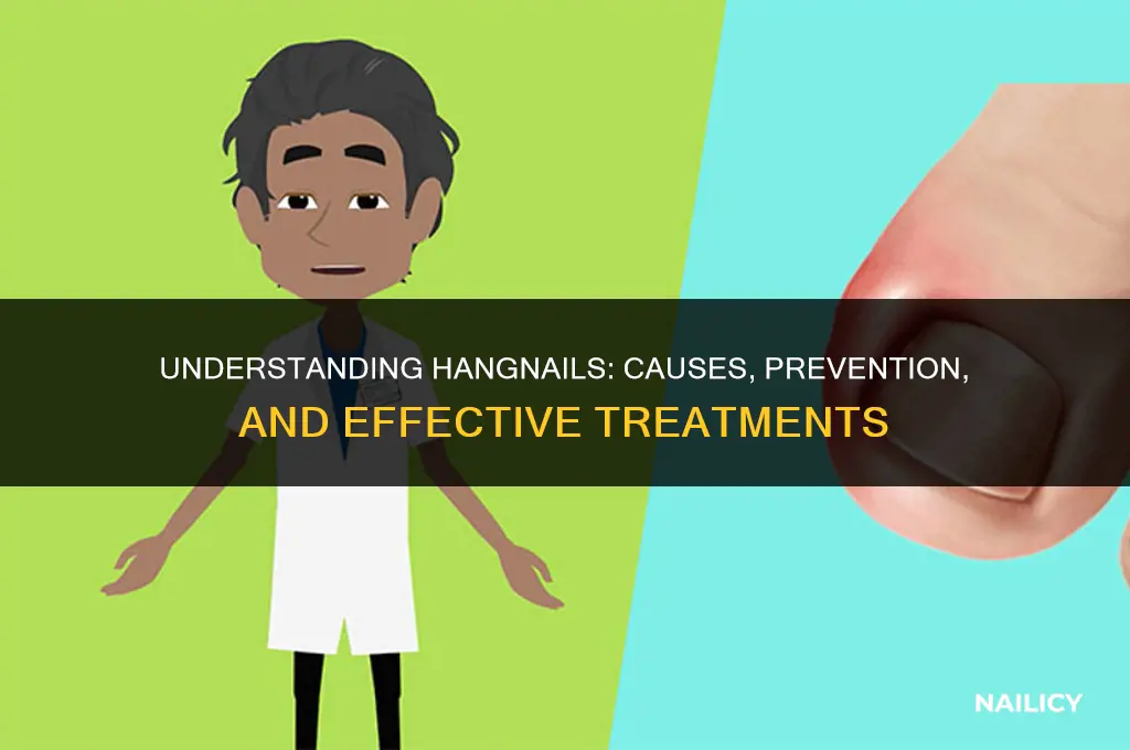 Understanding Hangnails: Causes, Prevention, And Effective Treatments ...