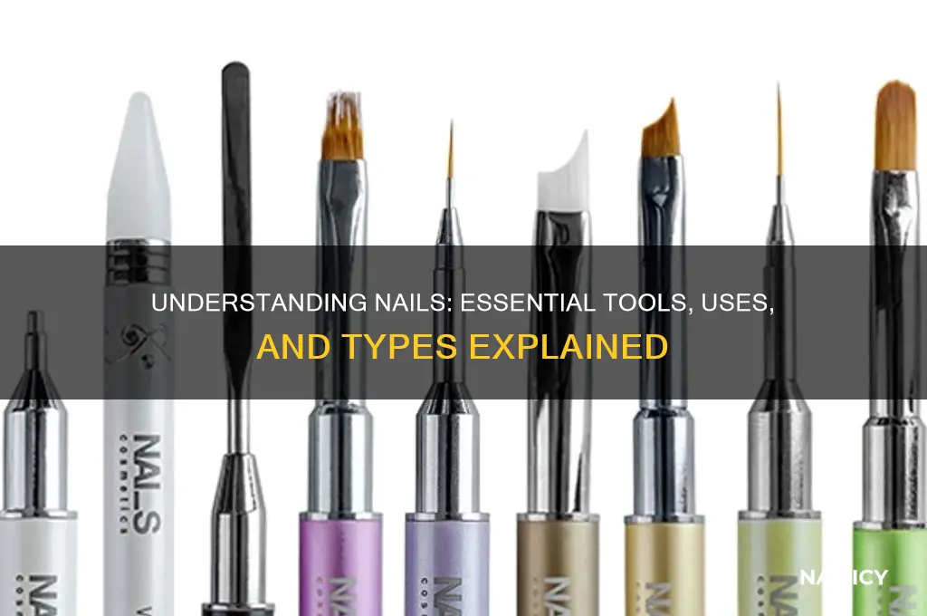 Understanding Nails: Essential Tools, Uses, And Types Explained | Nailicy