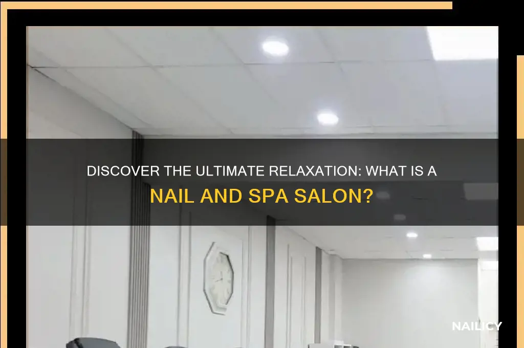 Discover The Ultimate Relaxation: What Is A Nail And Spa Salon? | Nailicy