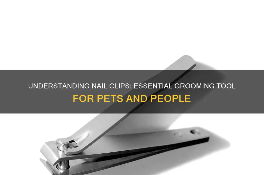 Understanding Nail Clips: Essential Grooming Tool For Pets And People ...