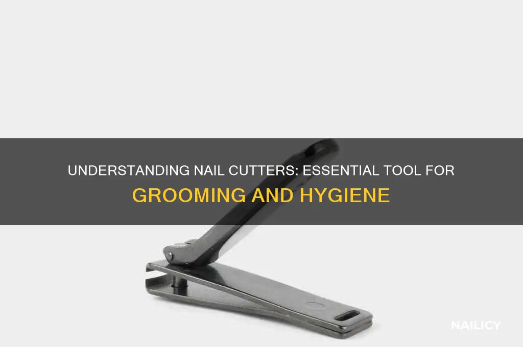 Understanding Nail Cutters: Essential Tool For Grooming And Hygiene ...