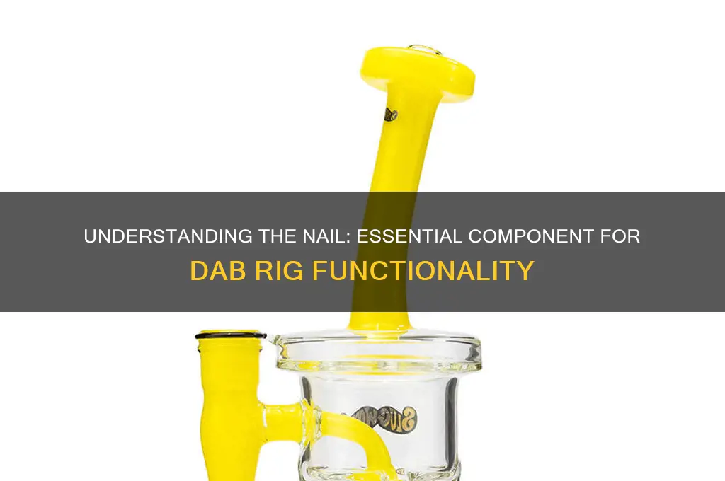 Understanding The Nail: Essential Component For Dab Rig Functionality ...