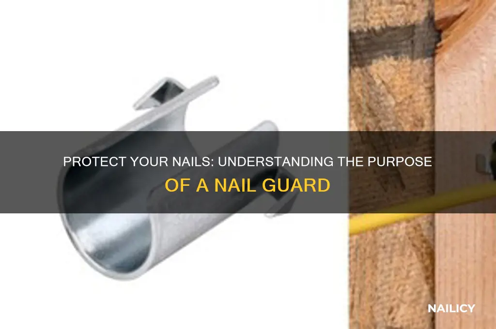 Protect Your Nails: Understanding The Purpose Of A Nail Guard | Nailicy