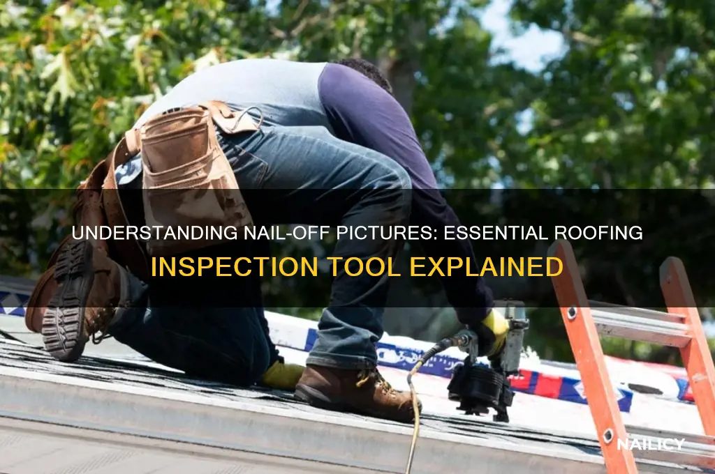 Understanding Nail-Off Pictures: Essential Roofing Inspection Tool ...