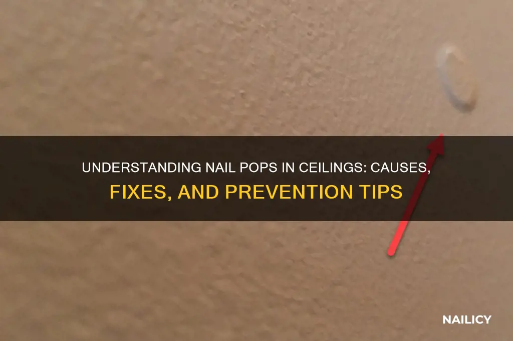 Understanding Nail Pops In Ceilings: Causes, Fixes, And Prevention Tips ...