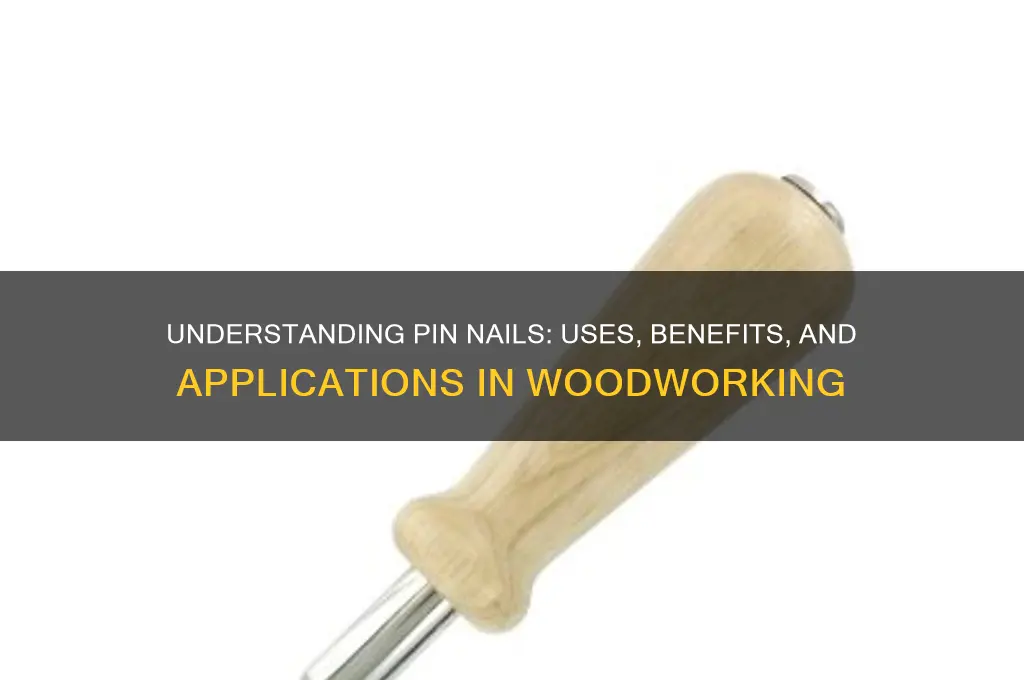 Understanding Pin Nails: Uses, Benefits, And Applications In ...