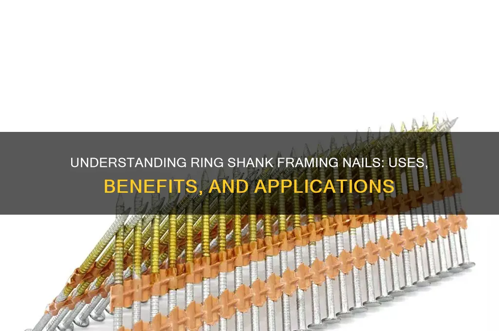 Understanding Ring Shank Framing Nails: Uses, Benefits, And ...