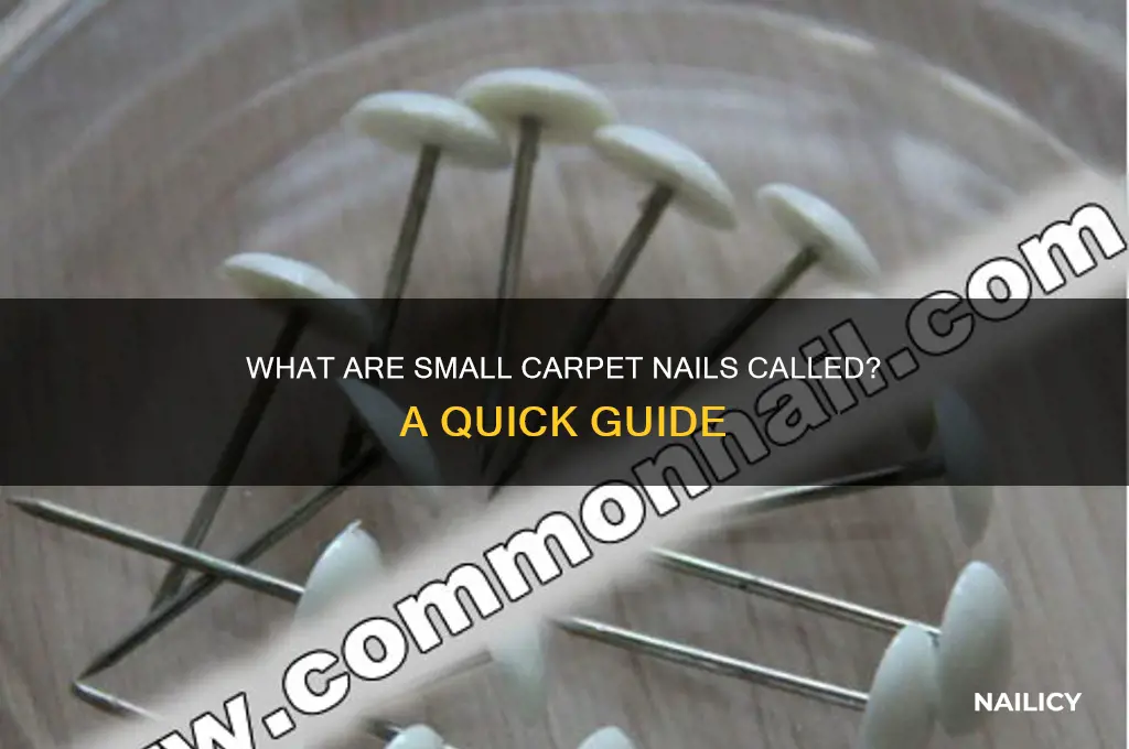 What Are Small Carpet Nails Called? A Quick Guide | Nailicy