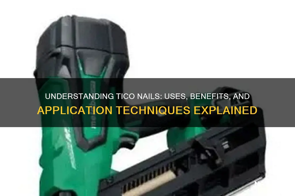 Understanding Tico Nails: Uses, Benefits, And Application Techniques ...