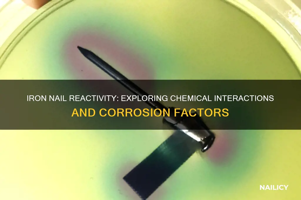 Iron Nail Reactivity: Exploring Chemical Interactions And Corrosion ...