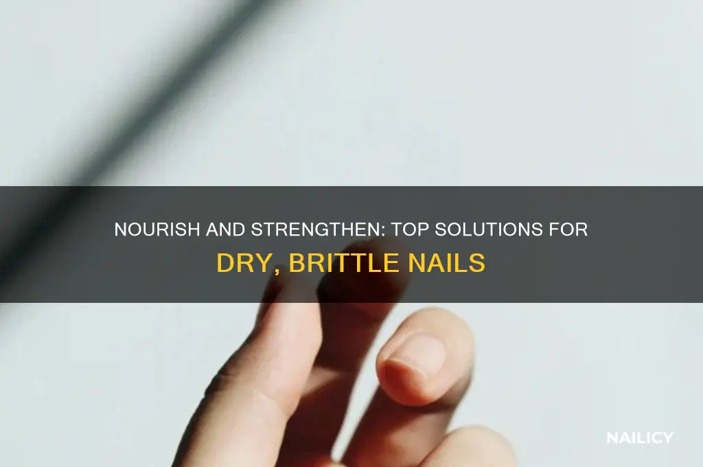 Nourish And Strengthen: Top Solutions For Dry, Brittle Nails | Nailicy