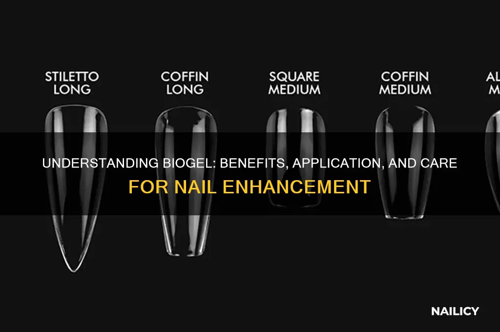 Understanding Biogel: Benefits, Application, And Care For Nail ...