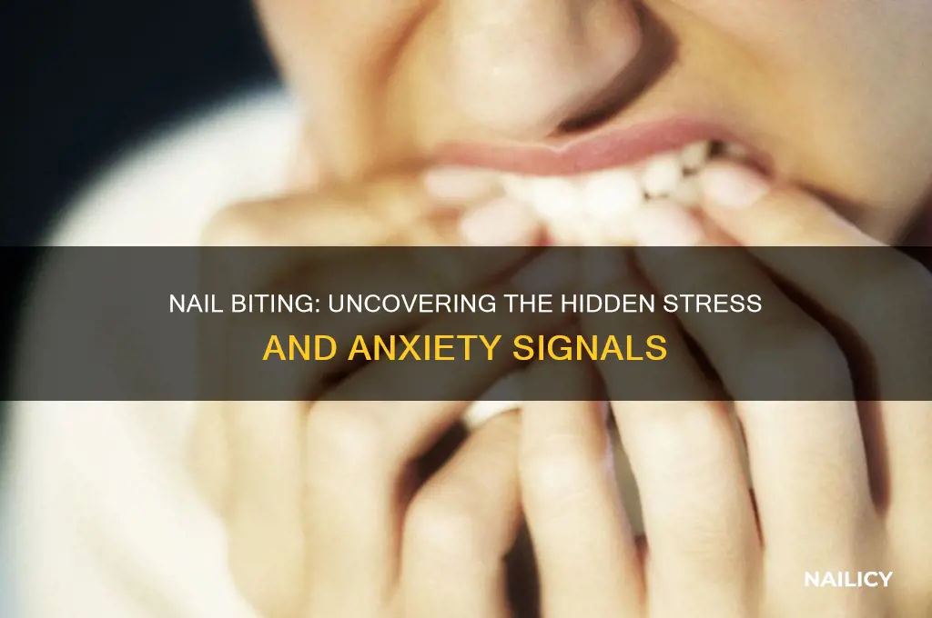 Nail Biting: Uncovering The Hidden Stress And Anxiety Signals | Nailicy