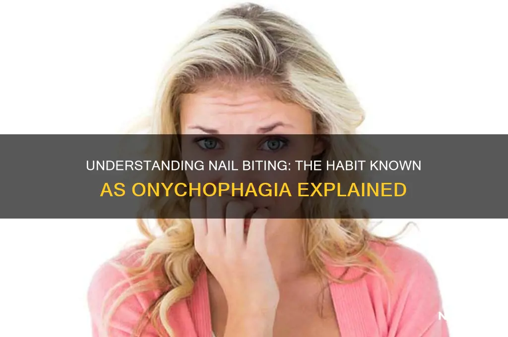 Understanding Nail Biting: The Habit Known As Onychophagia Explained ...
