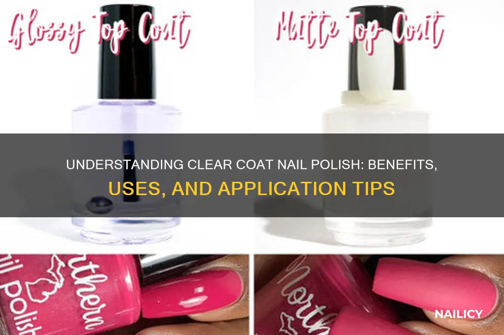 Understanding Clear Coat Nail Polish: Benefits, Uses, And Application ...
