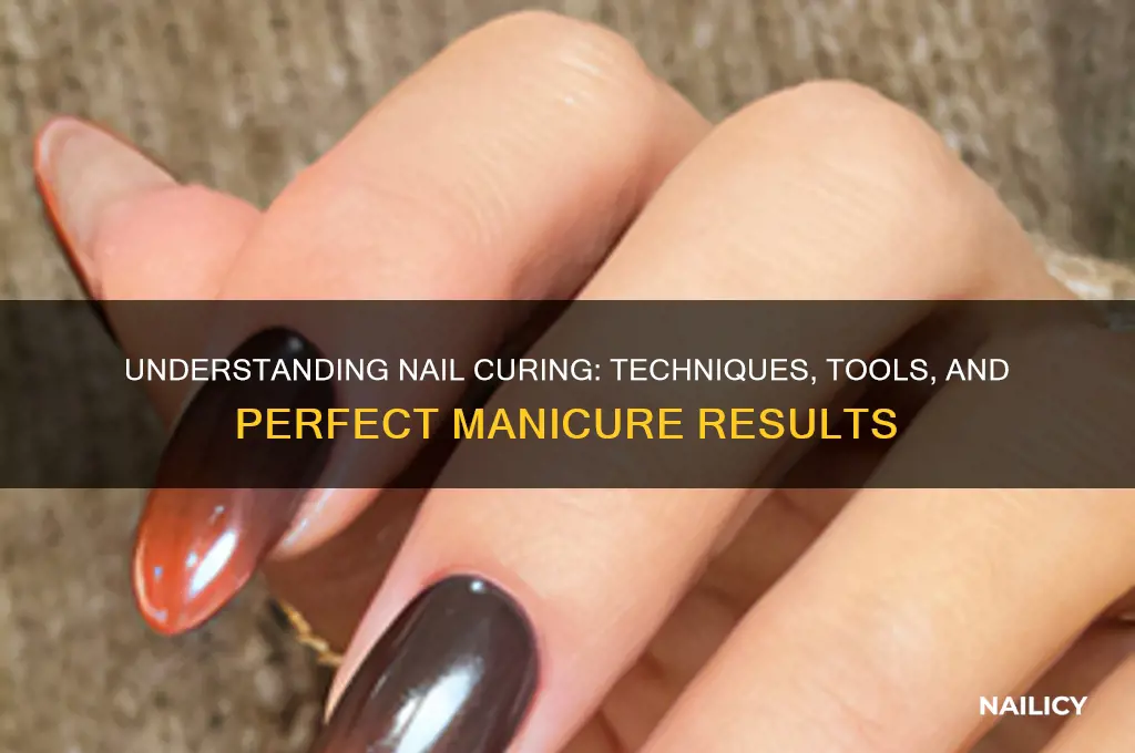 Understanding Nail Curing: Techniques, Tools, And Perfect Manicure ...