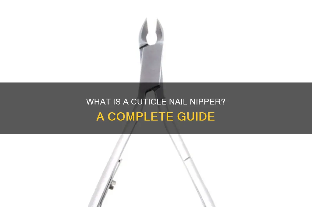 What Is A Cuticle Nail Nipper? A Complete Guide | Nailicy