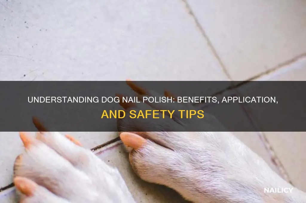Understanding Dog Nail Polish: Benefits, Application, And Safety Tips ...