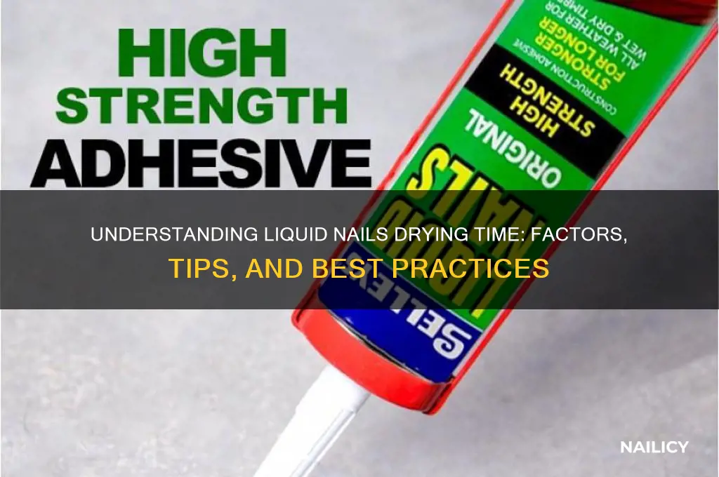 Understanding Liquid Nails Drying Time: Factors, Tips, And Best ...