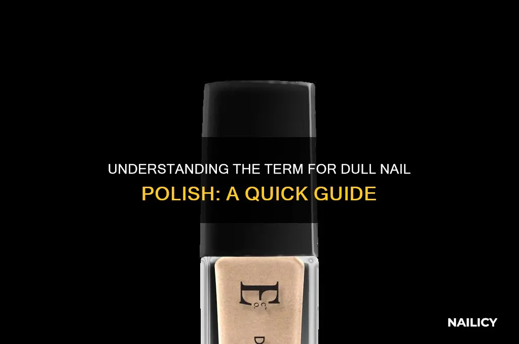 Understanding The Term For Dull Nail Polish: A Quick Guide | Nailicy