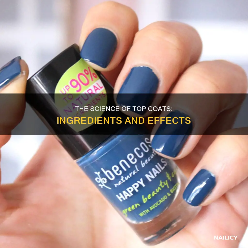 The Science Of Top Coats: Ingredients And Effects | Nailicy