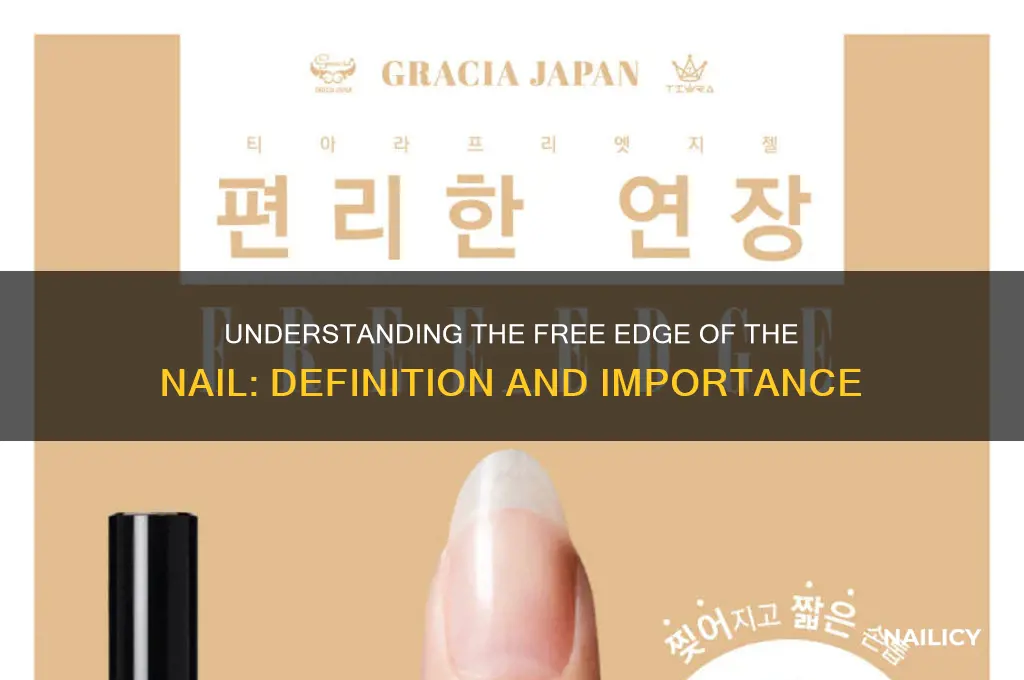 Understanding The Free Edge Of The Nail: Definition And Importance ...