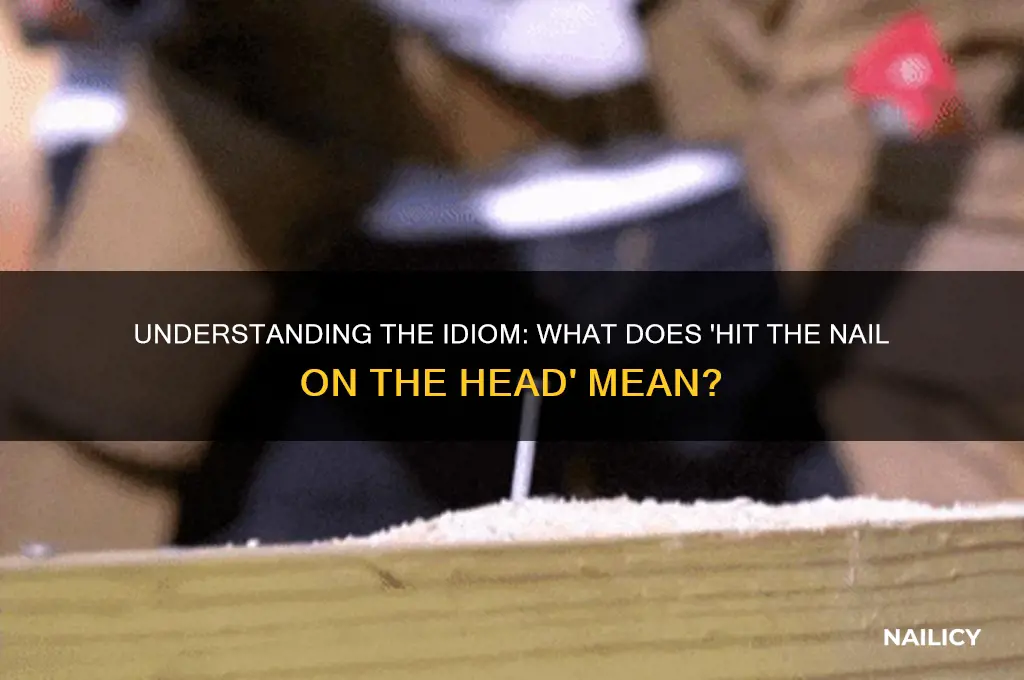 Understanding The Idiom: What Does 'Hit The Nail On The Head' Mean ...