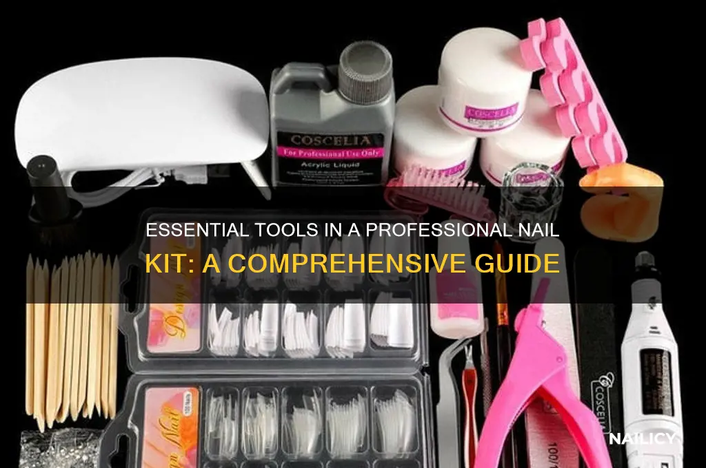 Essential Tools In A Professional Nail Kit: A Comprehensive Guide | Nailicy