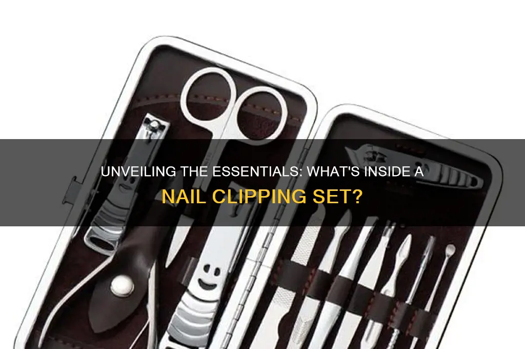 Unveiling The Essentials: What's Inside A Nail Clipping Set? | Nailicy