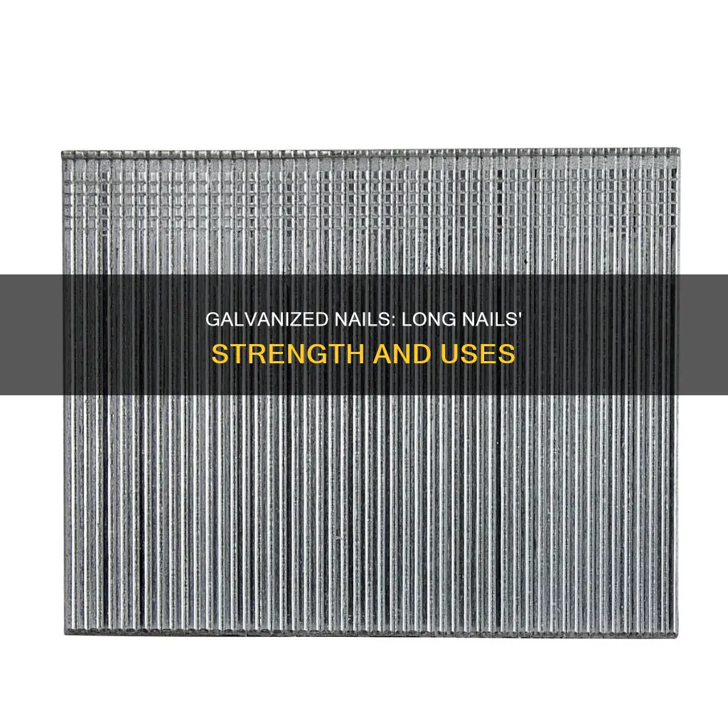 Galvanized Nails: Long Nails' Strength And Uses | Nailicy