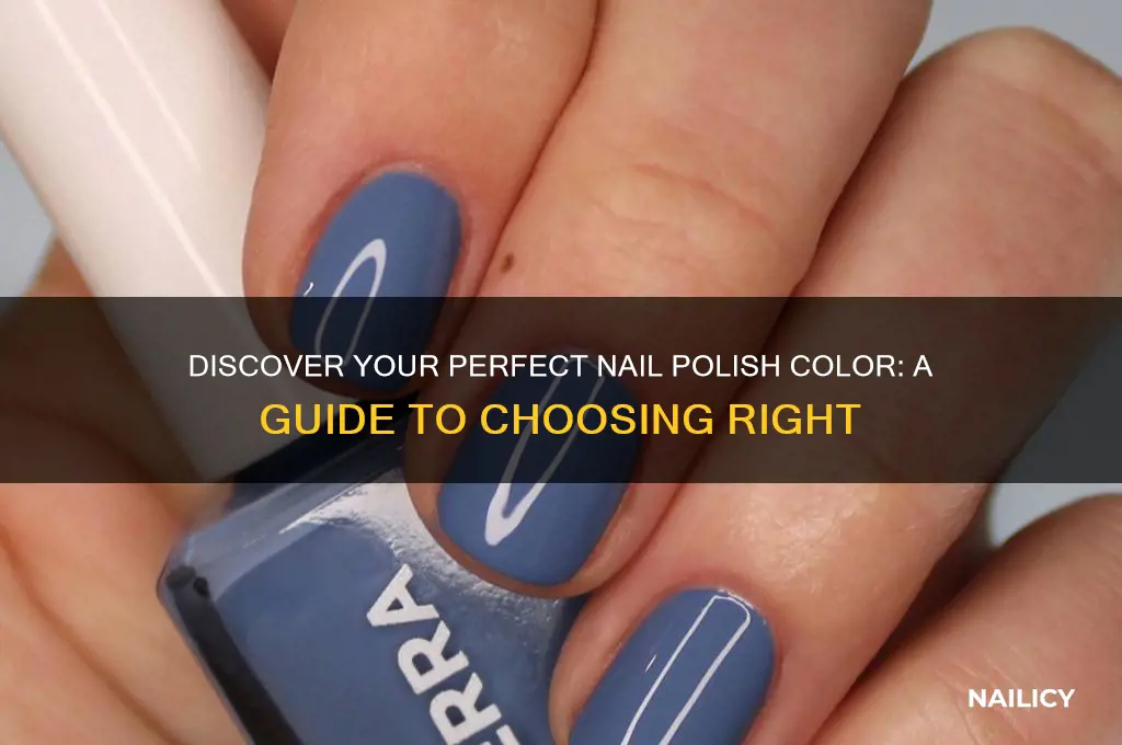 Discover Your Perfect Nail Polish Color: A Guide To Choosing Right ...