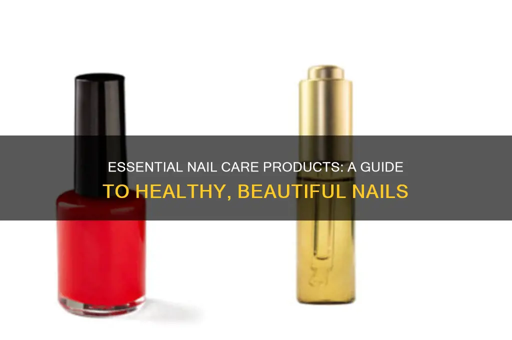Essential Nail Care Products: A Guide To Healthy, Beautiful Nails | Nailicy