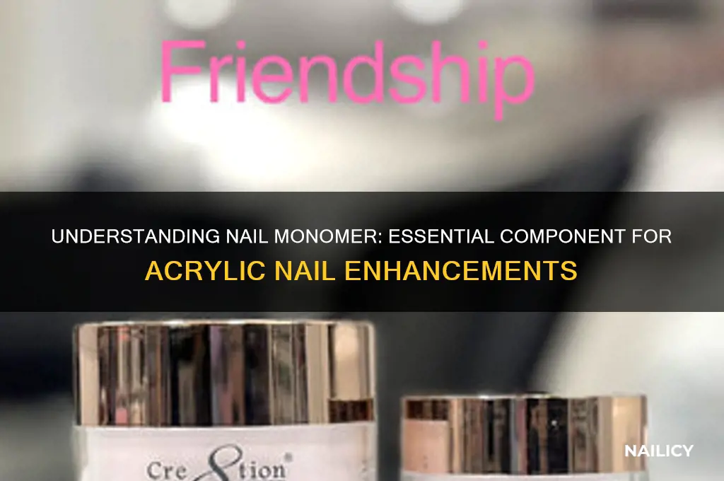 Understanding Nail Monomer: Essential Component For Acrylic Nail ...
