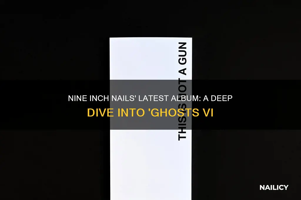 Nine Inch Nails' Latest Album: A Deep Dive Into 'Ghosts Vi | Nailicy