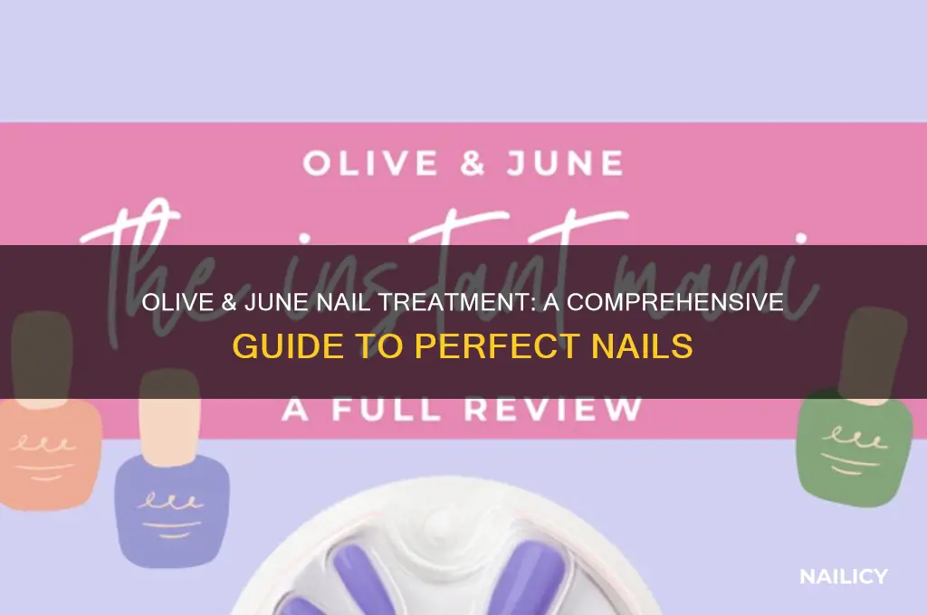 Olive & June Nail Treatment: A Comprehensive Guide To Perfect Nails ...