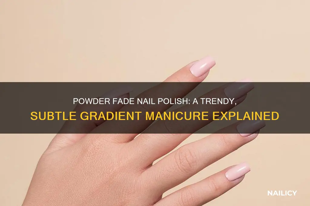 Powder Fade Nail Polish: A Trendy, Subtle Gradient Manicure Explained ...