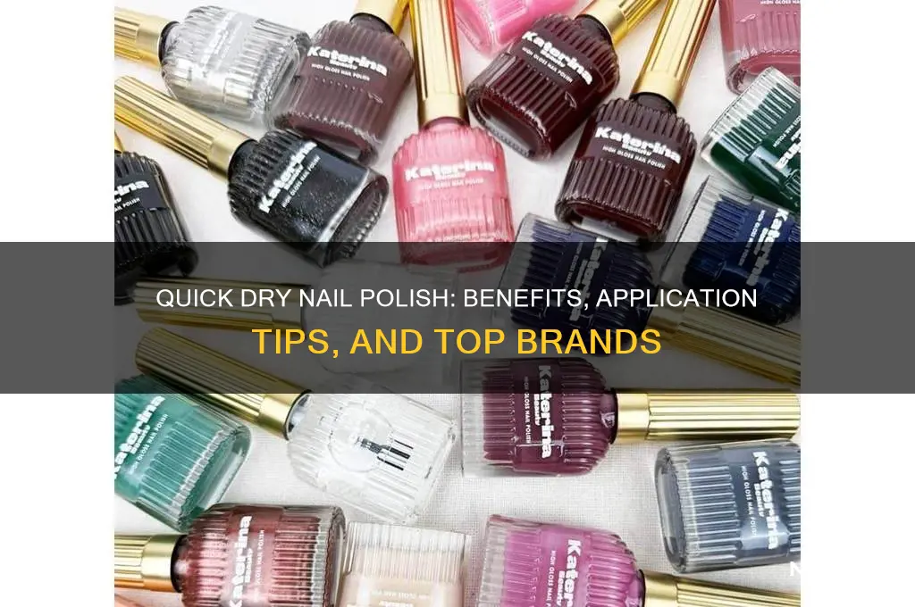 Quick Dry Nail Polish: Benefits, Application Tips, And Top Brands | Nailicy