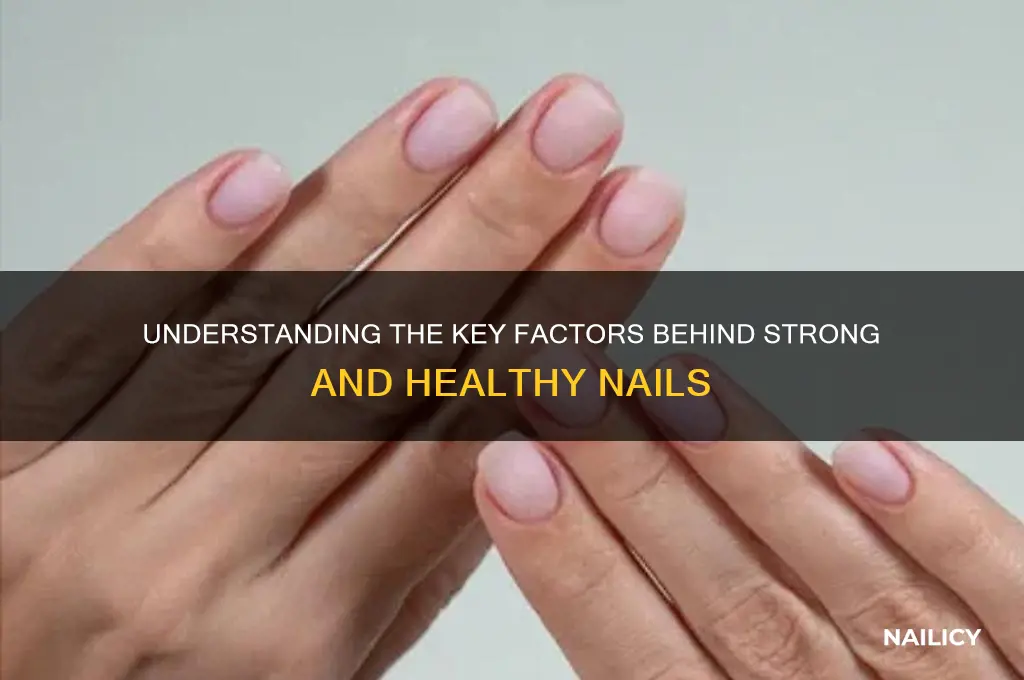 Understanding The Key Factors Behind Strong And Healthy Nails | Nailicy