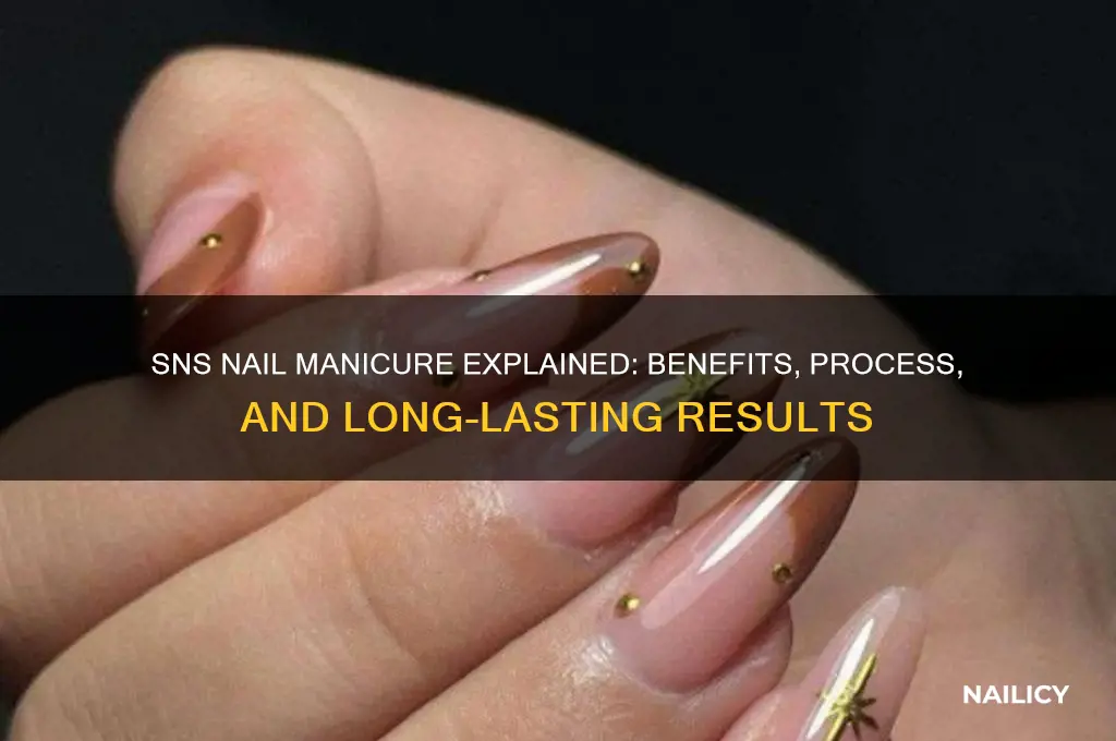 Sns Nail Manicure Explained: Benefits, Process, And Long-Lasting ...