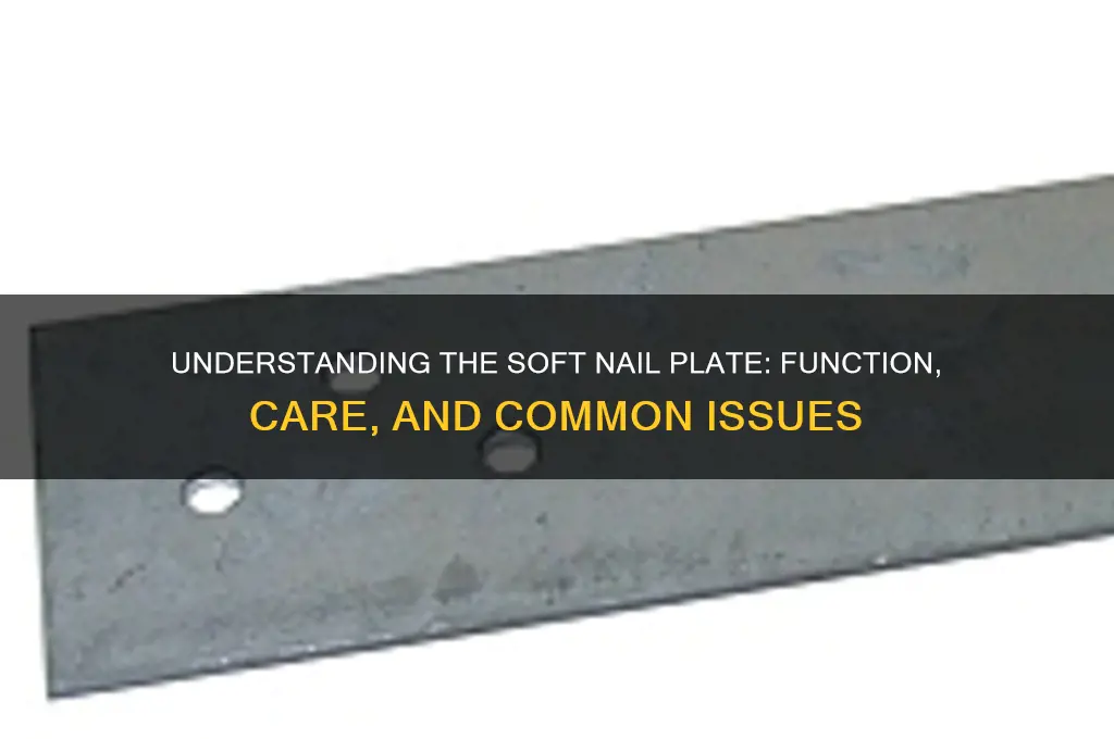 Understanding The Soft Nail Plate: Function, Care, And Common Issues ...