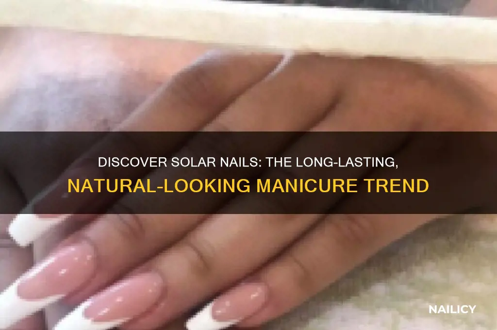 Discover Solar Nails: The Long-Lasting, Natural-Looking Manicure Trend ...