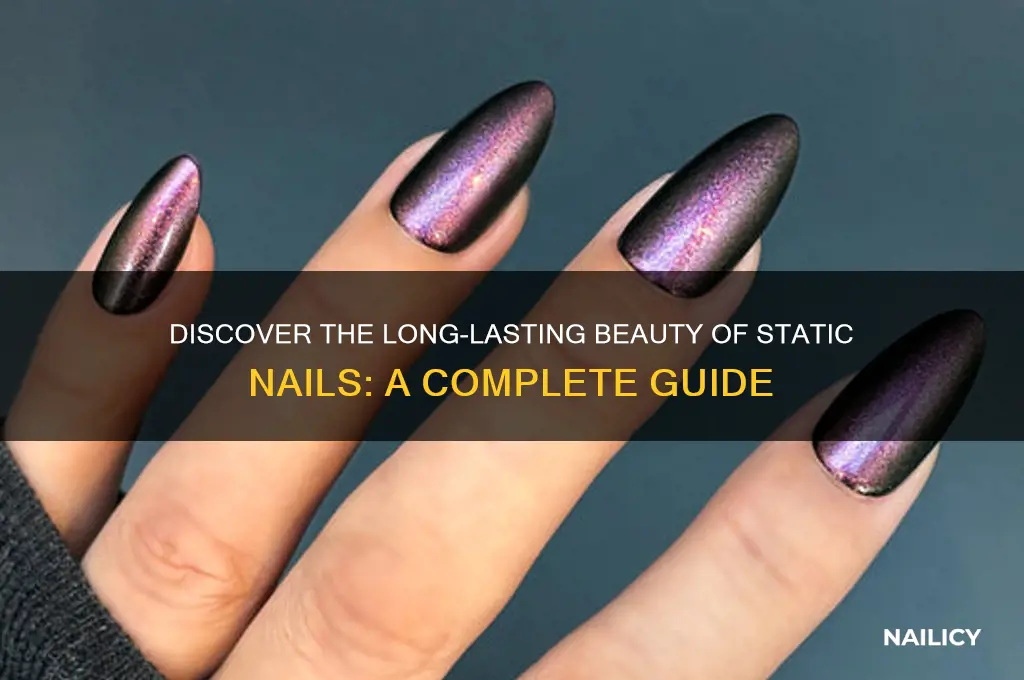 Discover The Long-Lasting Beauty Of Static Nails: A Complete Guide ...