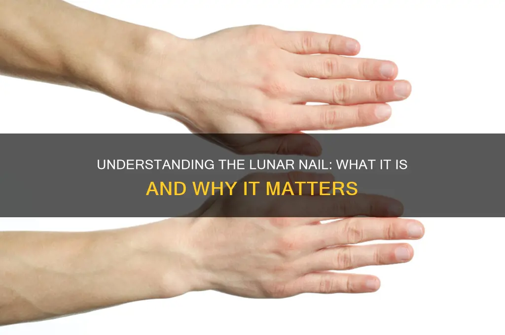 Understanding The Lunar Nail: What It Is And Why It Matters | Nailicy