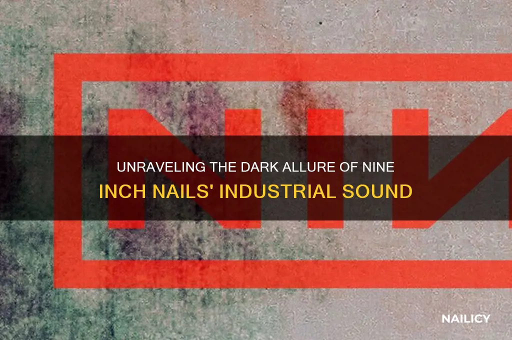 Unraveling The Dark Allure Of Nine Inch Nails' Industrial Sound | Nailicy