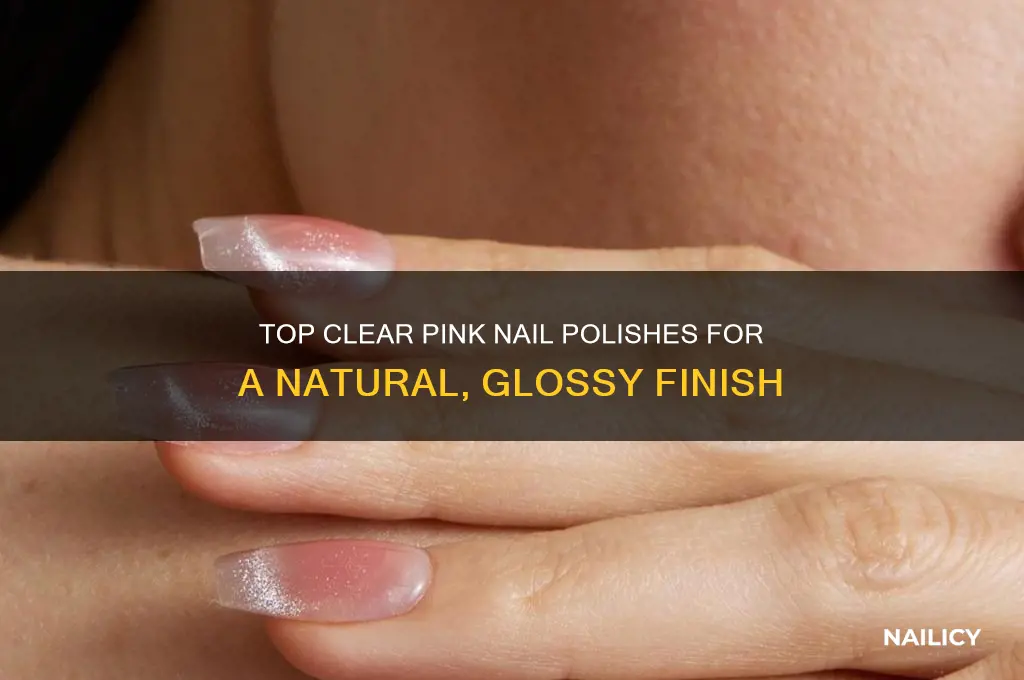 Top Clear Pink Nail Polishes For A Natural, Glossy Finish | Nailicy
