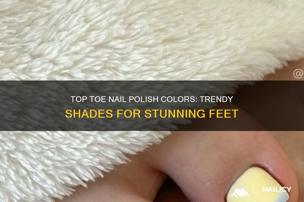 Top Toe Nail Polish Colors: Trendy Shades For Stunning Feet | Nailicy