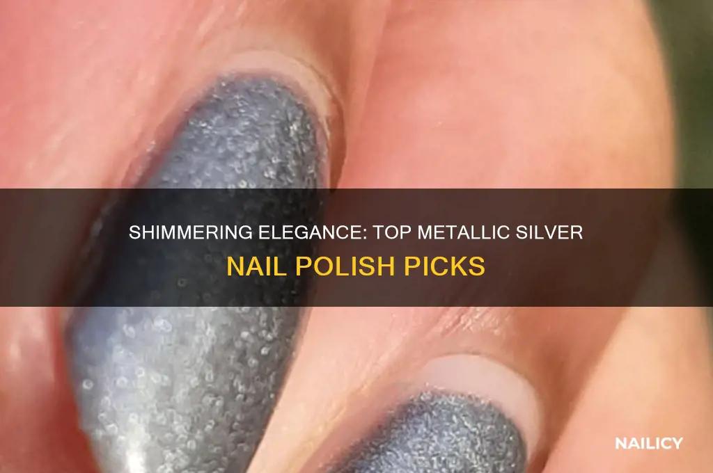 Shimmering Elegance: Top Metallic Silver Nail Polish Picks | Nailicy
