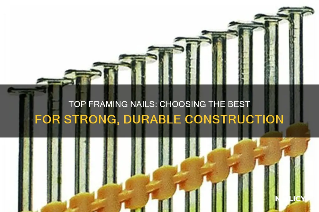 Top Framing Nails: Choosing The Best For Strong, Durable Construction ...